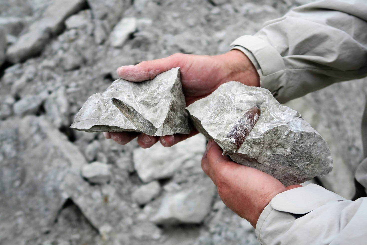 What is Palladium and Why it is Valuable | Straits Financial Group