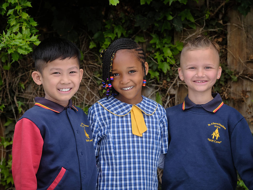 St Albans Meadows Primary School