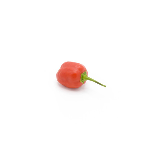Peppadew | Miss Pepper Seed