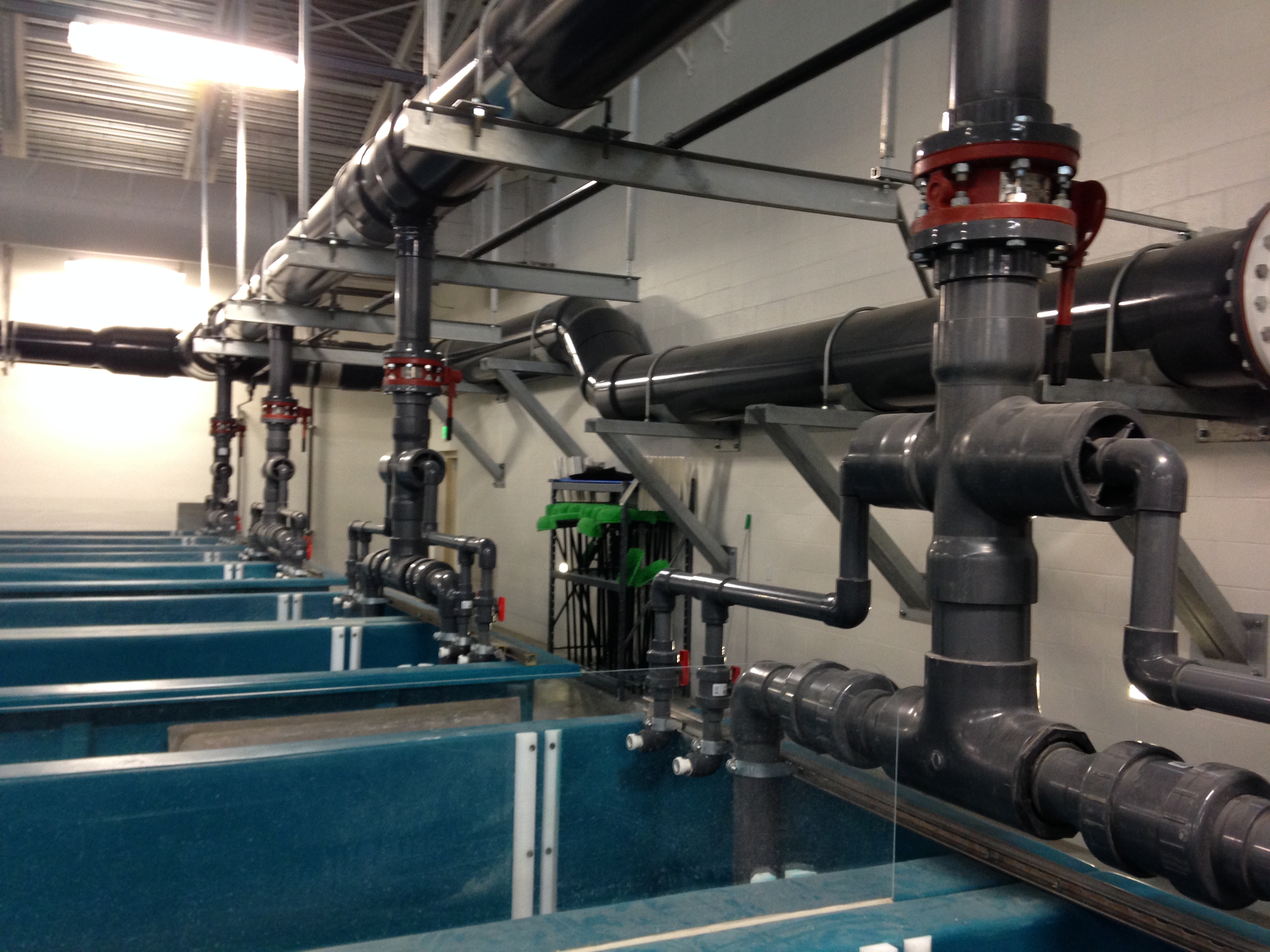 JC Constructors engineering solutions Meridian