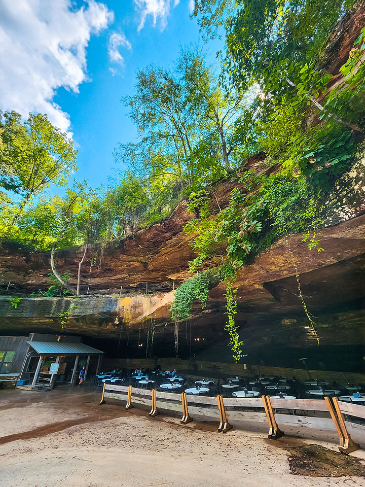 Our Top Picks for Outdoor Fun in Northern Alabama