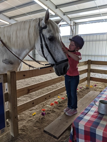 Photo Gallery | Blended Spirits Ranch Equine-Assisted Therapy Center