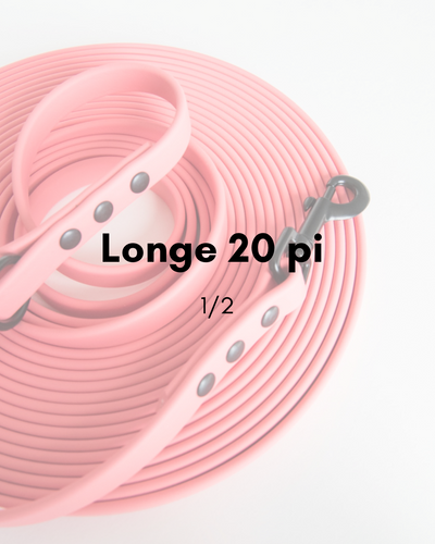 Longe 20 pi pour petits-moyens chiens (1/2 po) | Aiko et cie