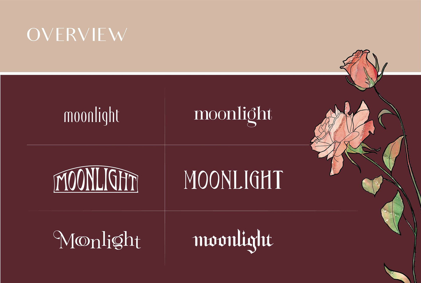 MOONLIGHT Brand Design and Process | 八號飛船品牌設計｜OCTOSHIP