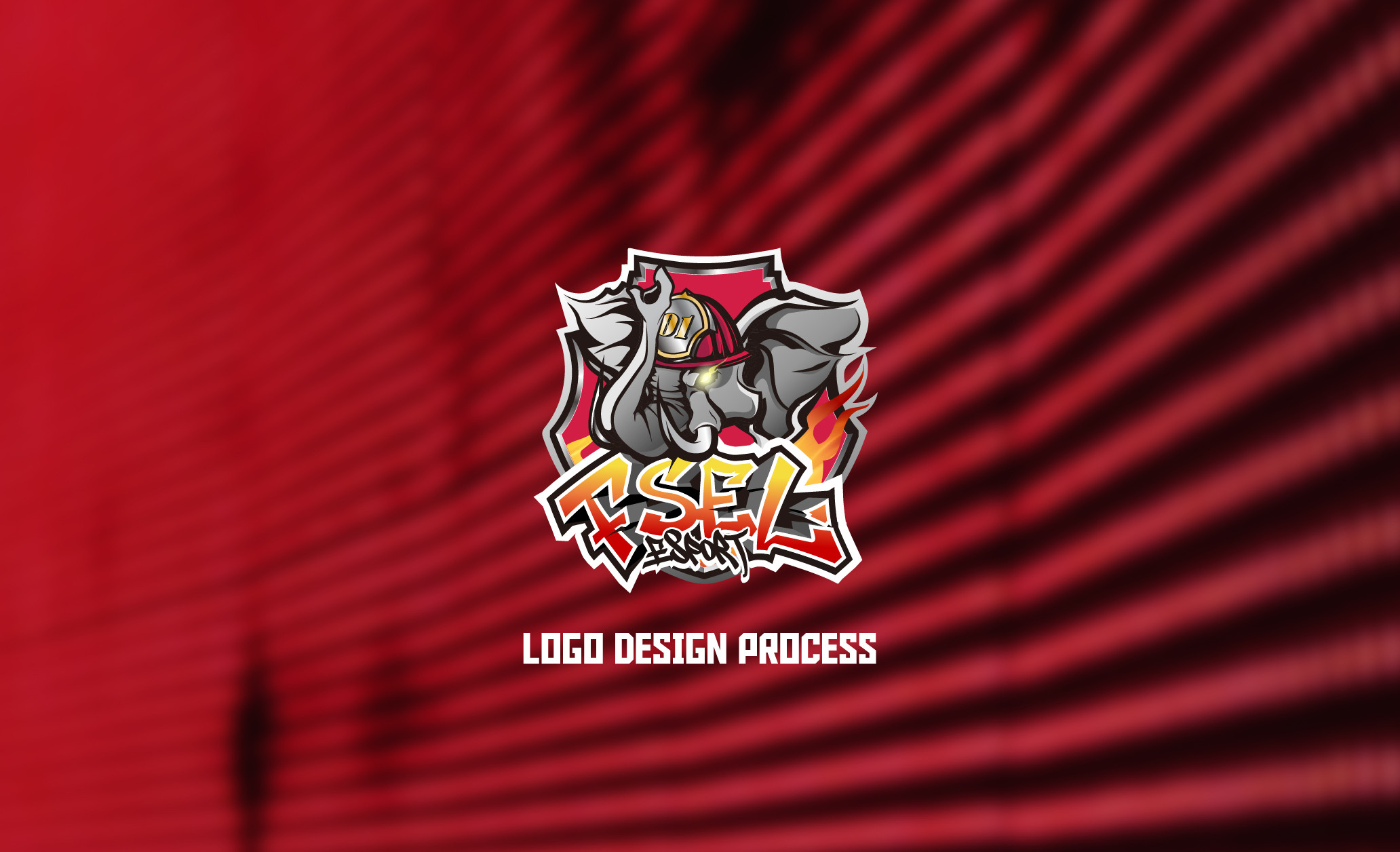 FSEL E-sport Brand Design and Process