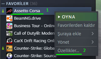 STEAM DOSYA DOĞRULAMA | DPC GROUP - AC