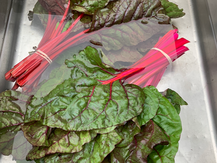 Photos from Merrick Farm | Organic Produce & Plants in Monmouth County ...