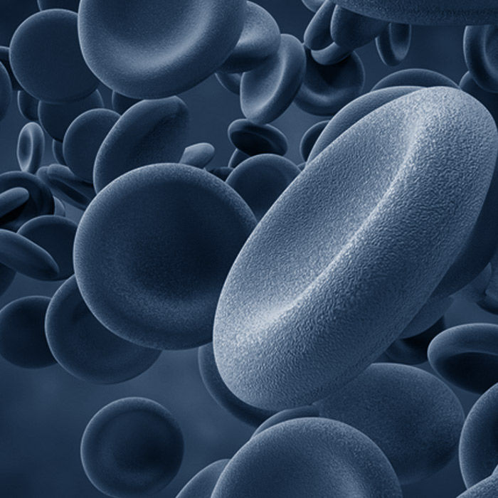 What is Platelet Rich Plasma?