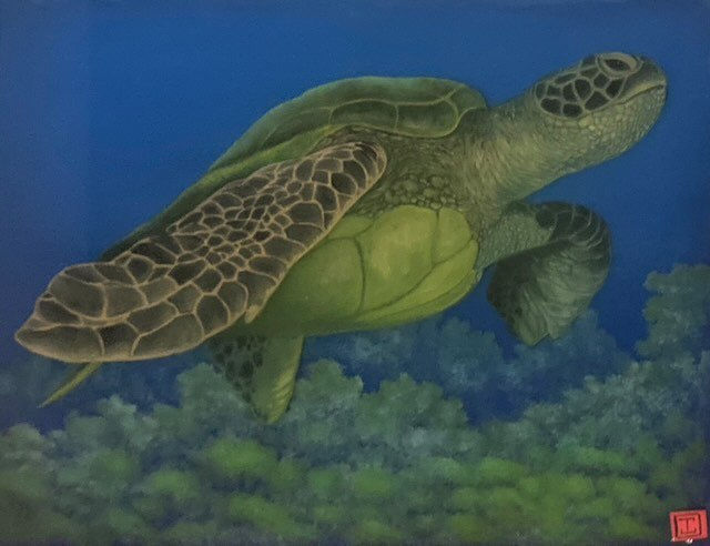 Sea turtle | NFA Space