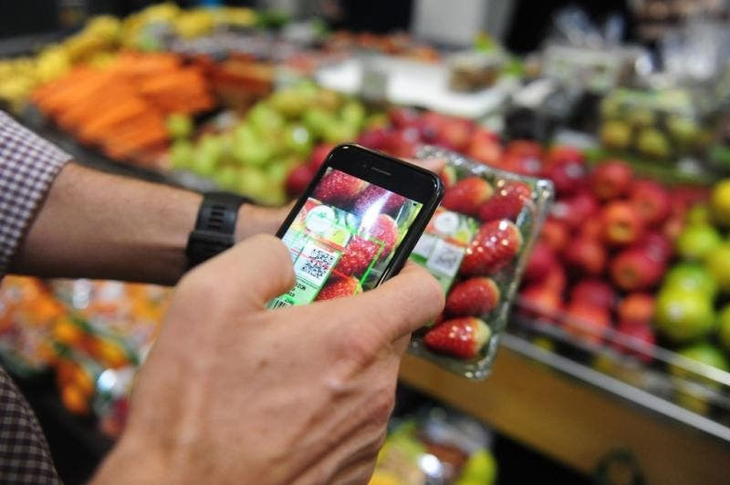 Tendências de Inovação na Indústria de Alimentos.