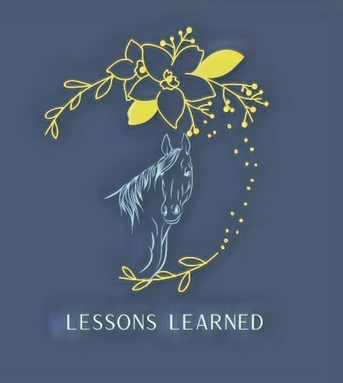 About | Lessons Learned LLC