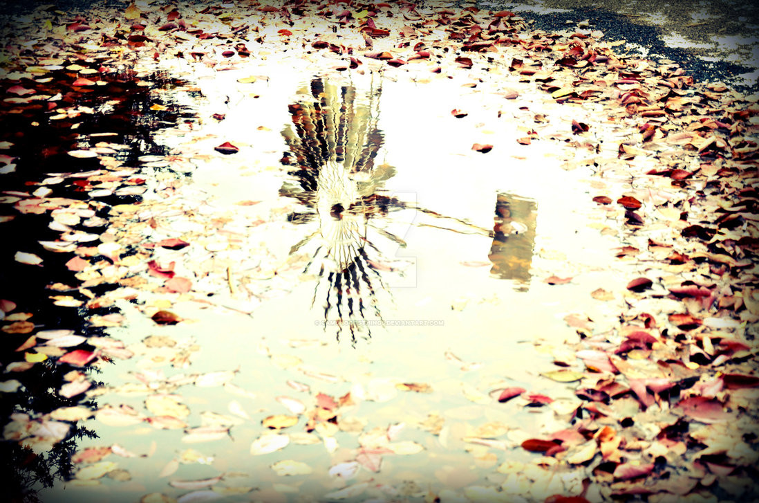 Home | Riot Rage Photography