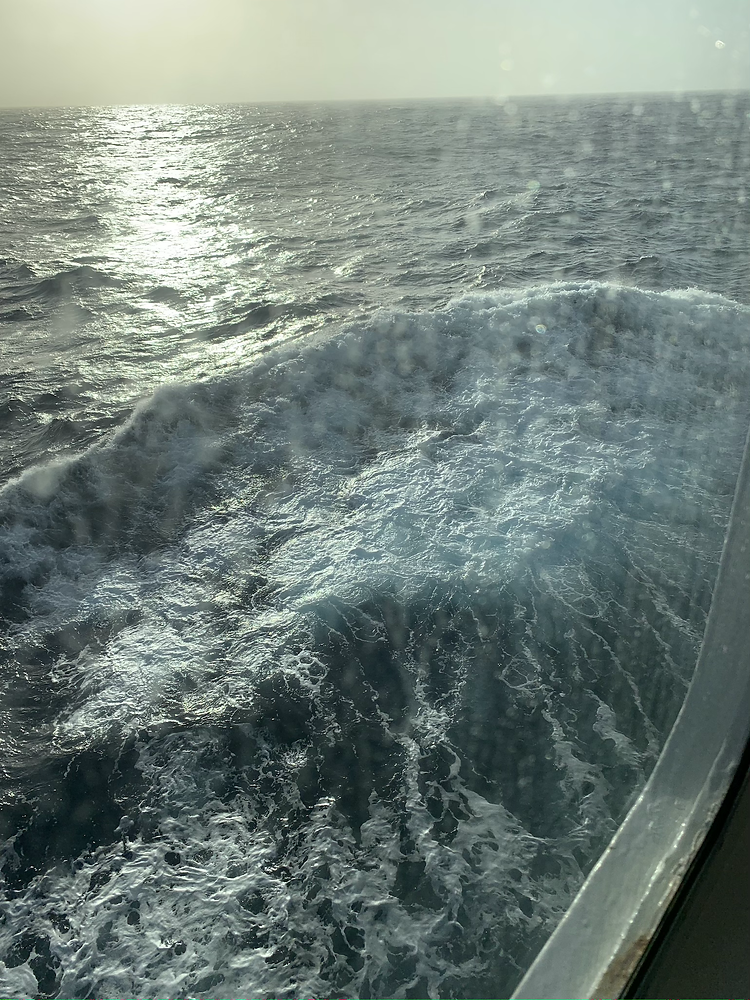 Antarctic Venus on a Half Shell