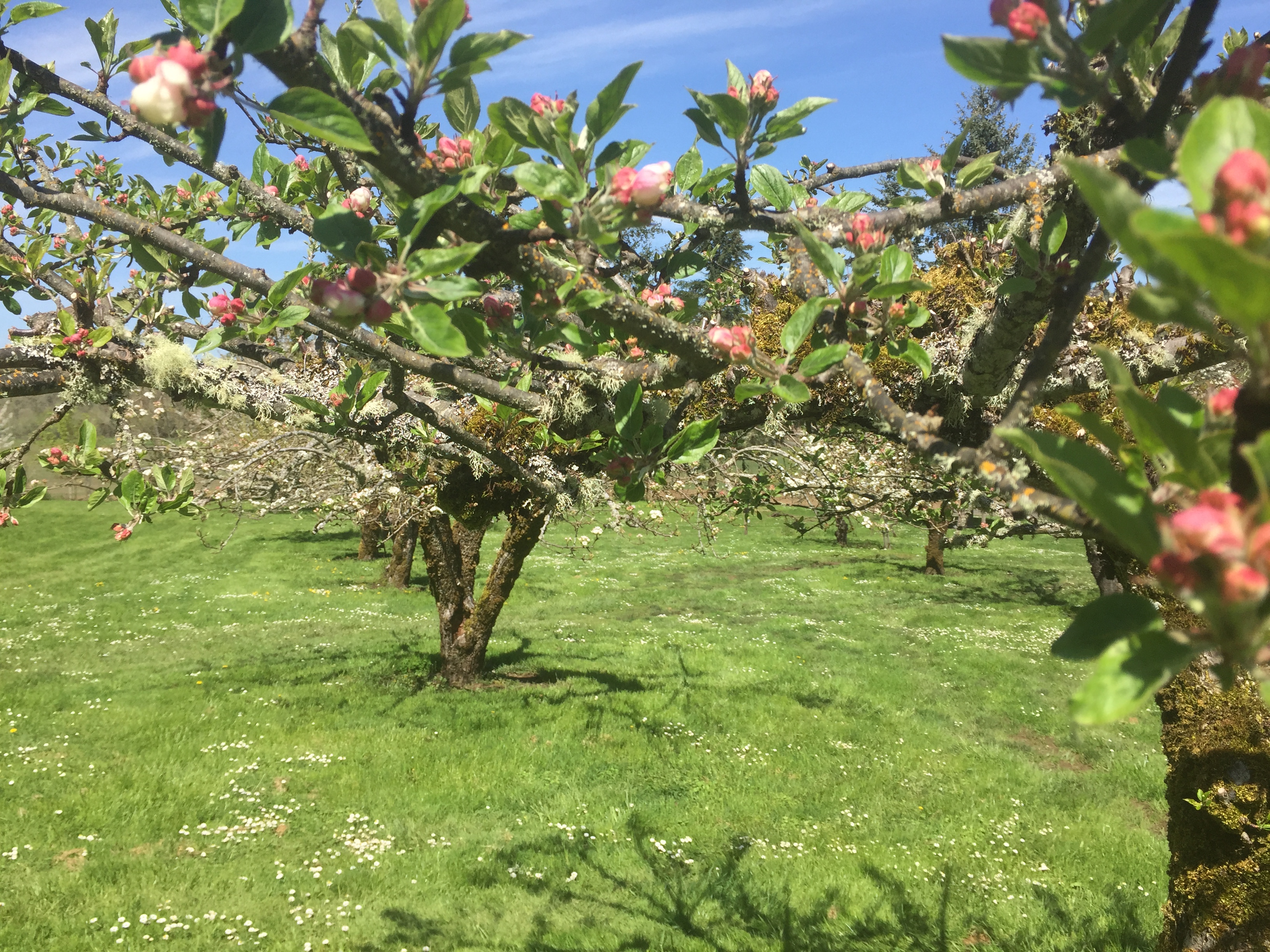 HOME | saltcreekciderhouse