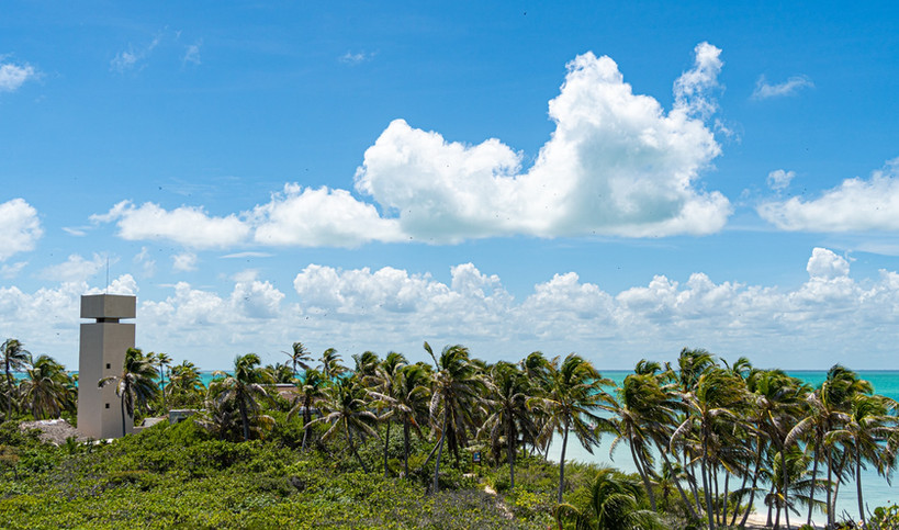 Isla Contoy Tour Info | Taste Of Isla | Isla Mujeres