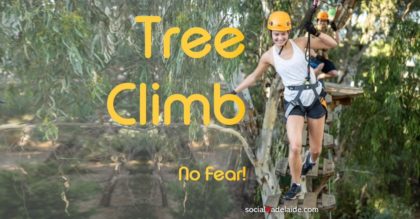 Tree Climb | with Social8 Adelaide Singles