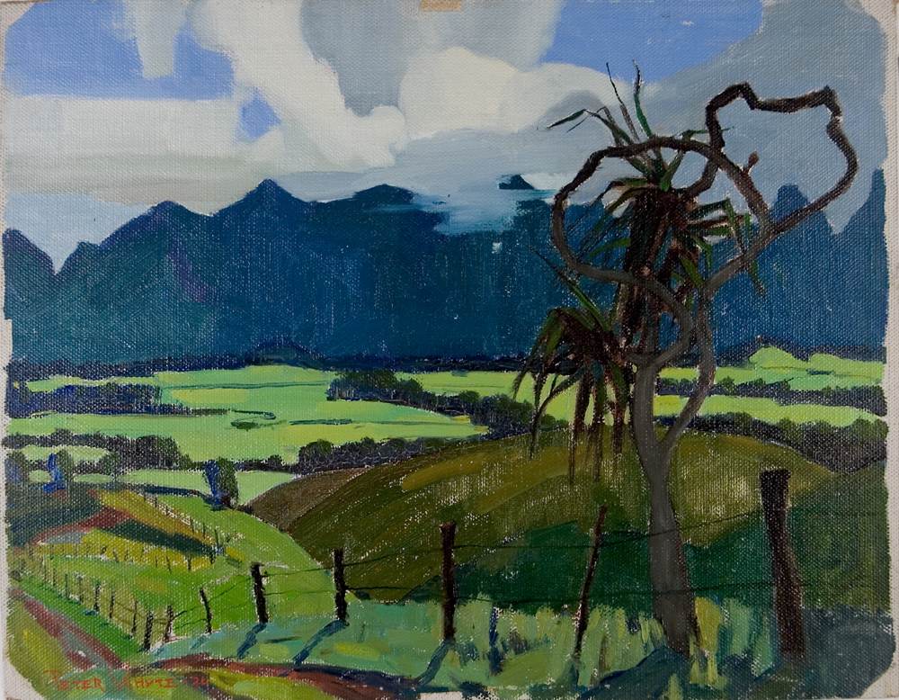 The Wandering Whytes: Hawaii