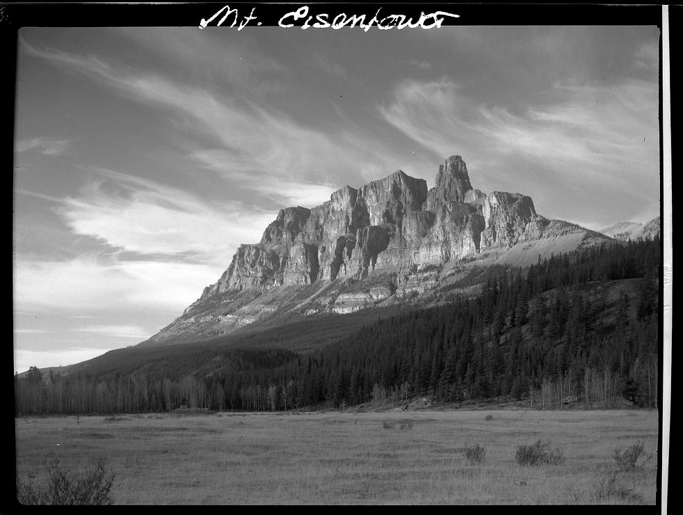 In Castle Mountain's Shadow: The Story of Silver City