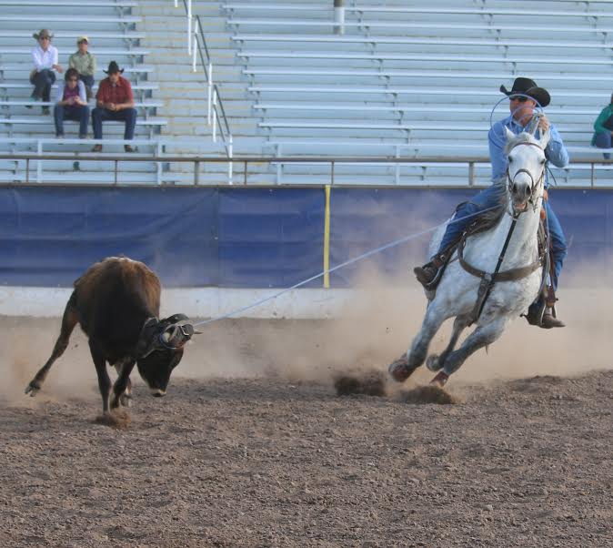 Ranching Heritage | sdqha