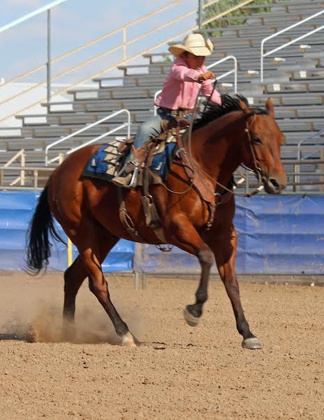 Ranching Heritage | sdqha