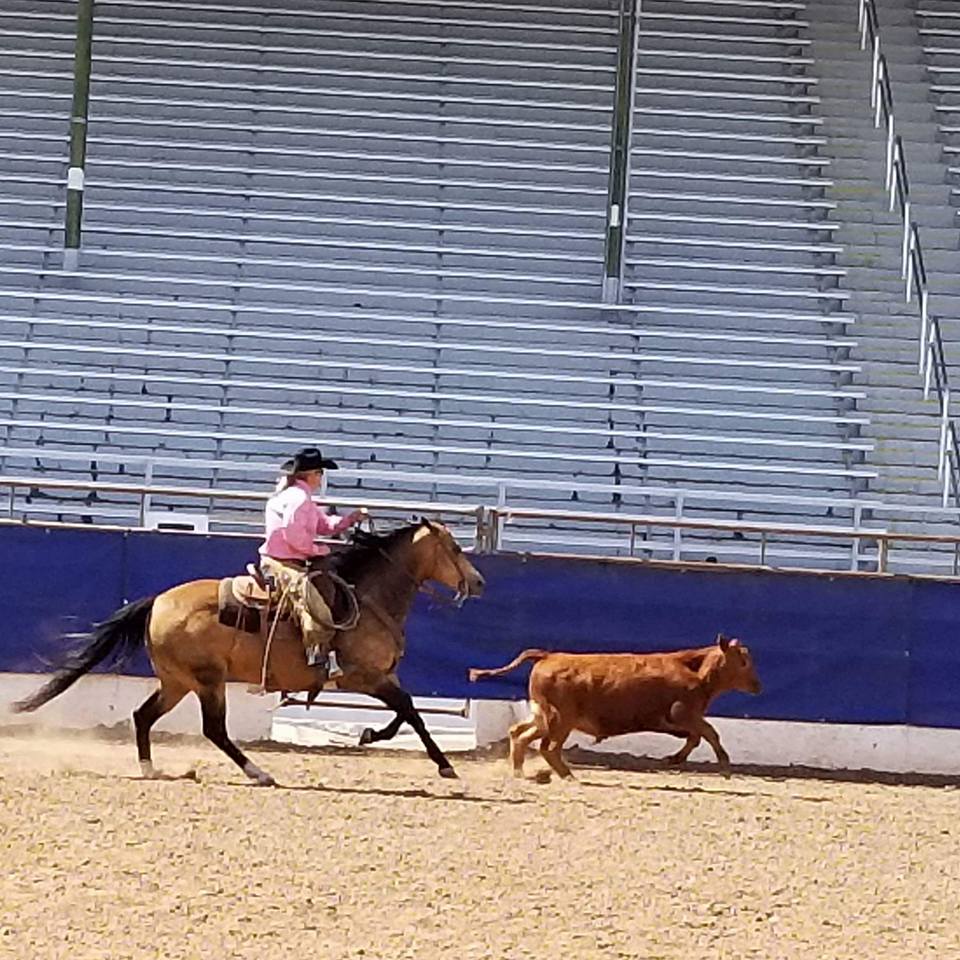 Ranching Heritage | sdqha