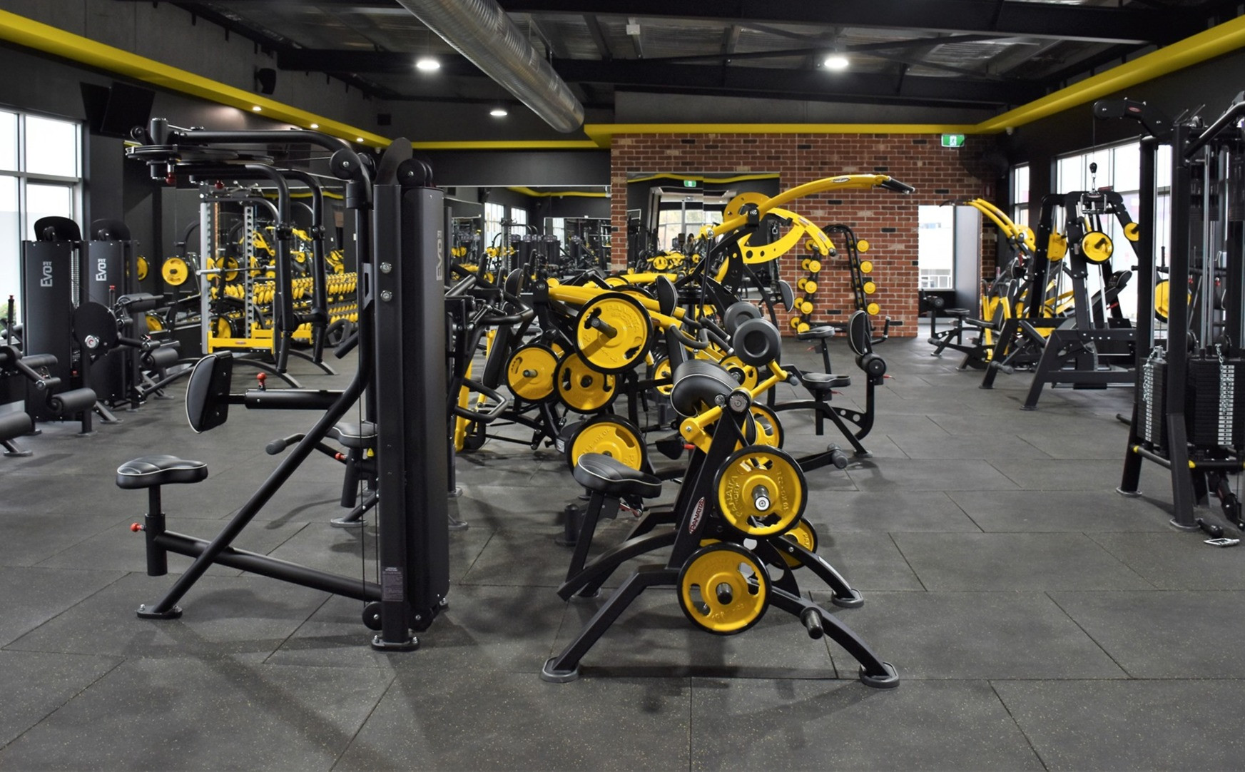 LIGHTSVIEW | Fitness Factory Health Clubs