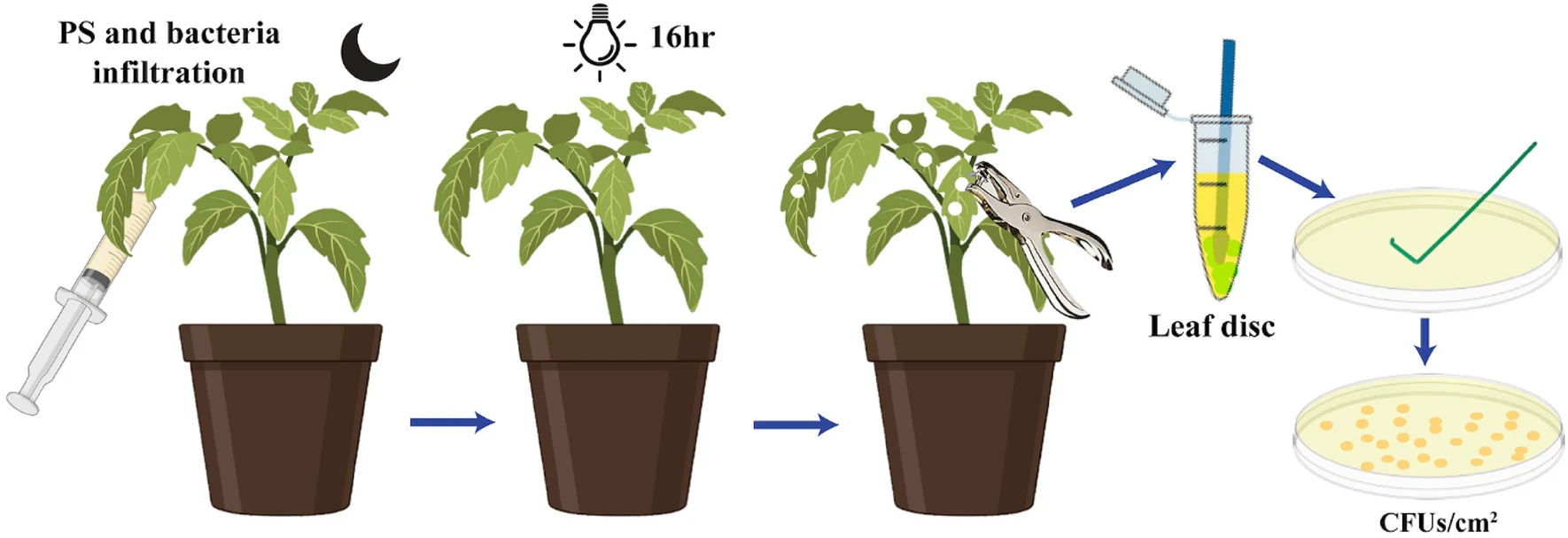 Research Papers | The Hoare Lab
