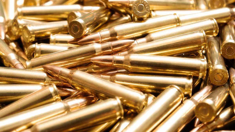 Tipo de munición y Partes principales.