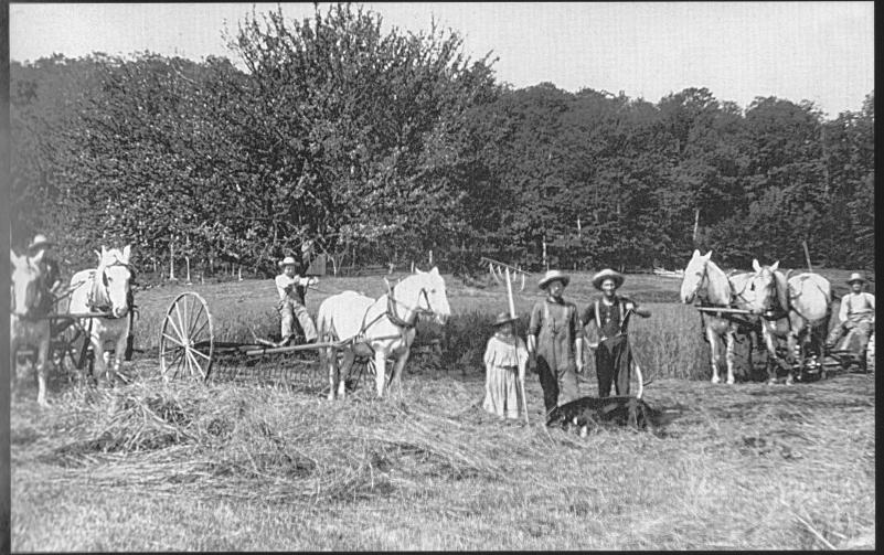 1800's | Historic Blum Farm