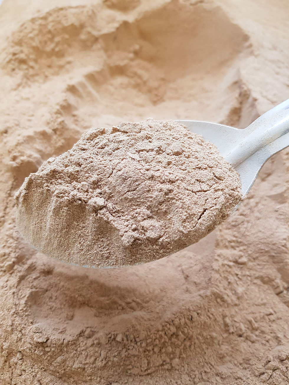 Shop | Bugvita Sells Tasty, UK-Farmed, Edible Insects | Buy Online Today