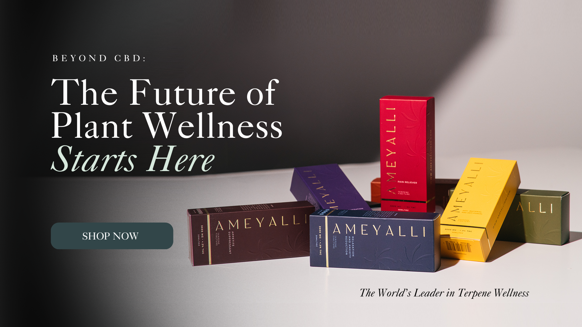 About Ameyalli Wellness | Terpene Wellness Rooted in Integrity