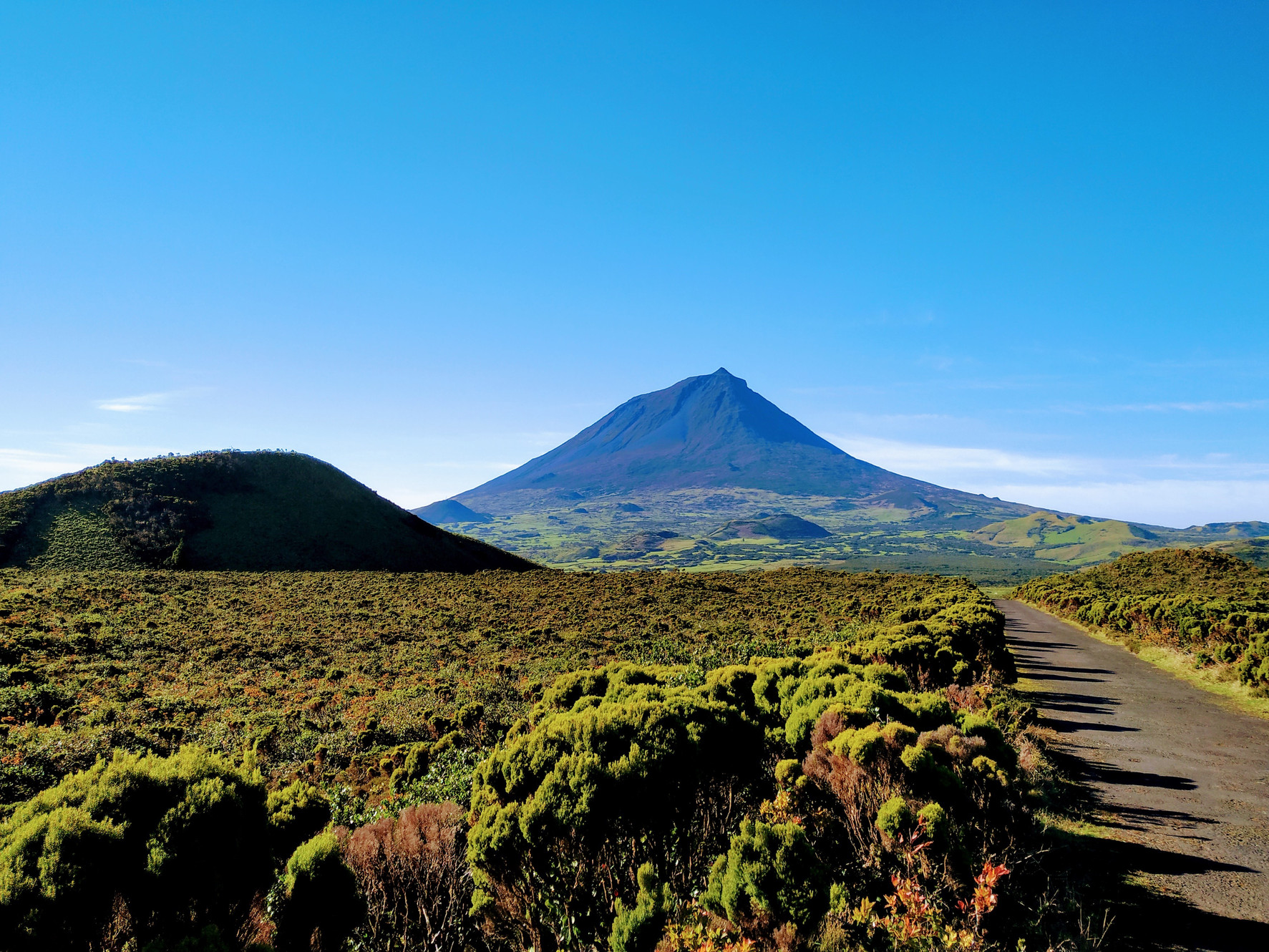 Pico Guide | Lost in Pico