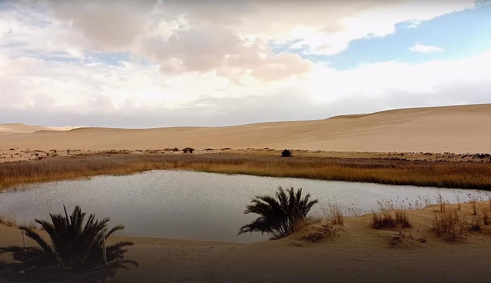 Explore All Episodes