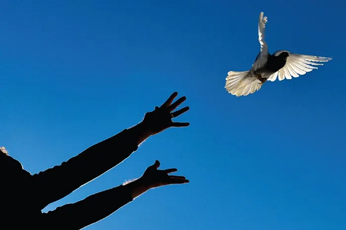 Dove and Butterfly Release Florida | Legacy Options