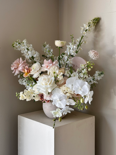 TIMELESS | Urban Flora