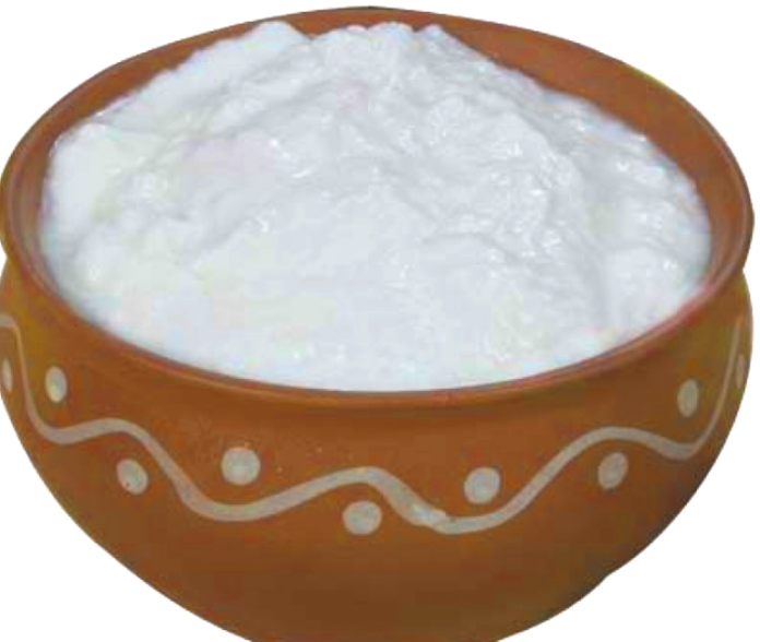 Fermented Milk Products from All Over the World. Dahi (India)