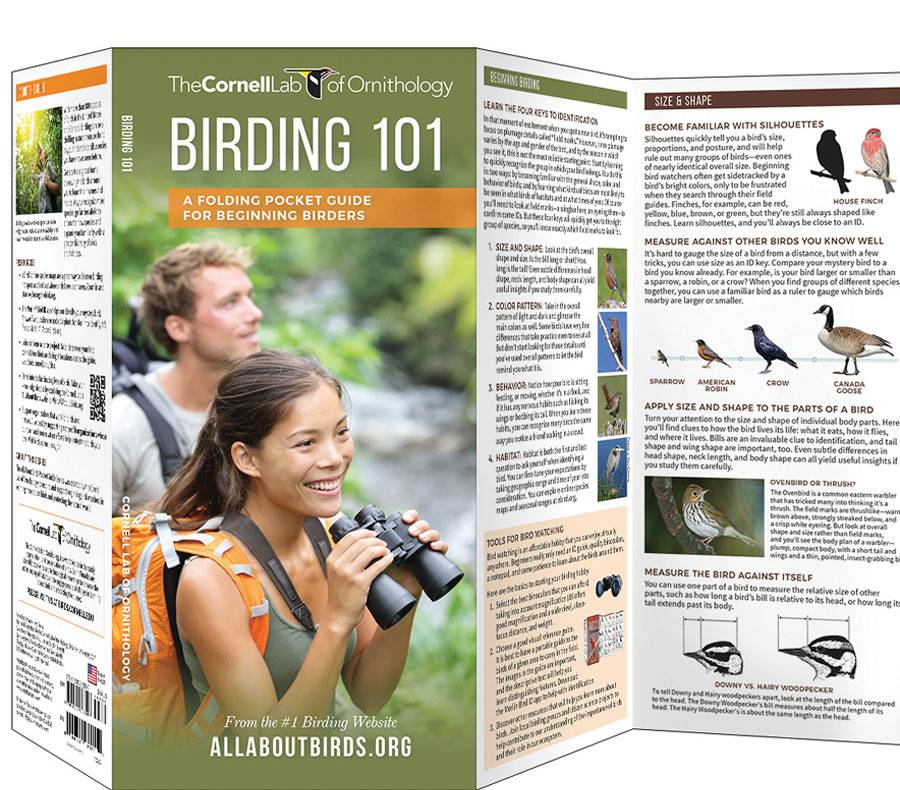 Birding 101 | gilfordcountrystore