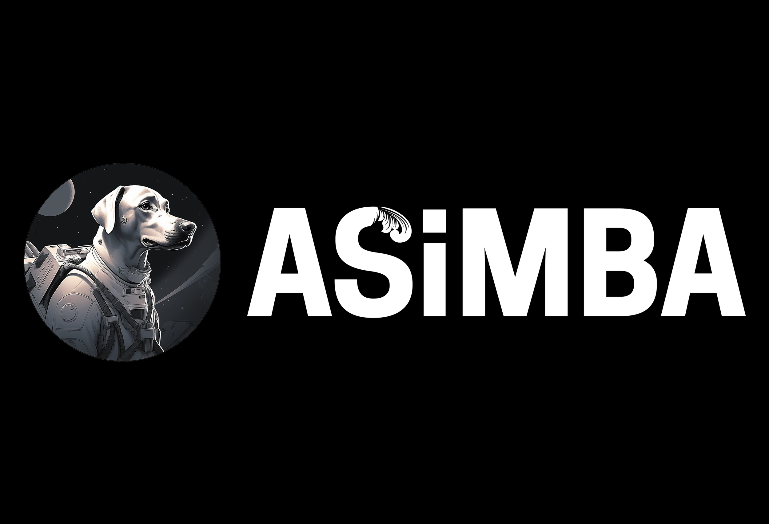ASIMBA Creative Studios | Digitalagentur: Websites, Social Media, 3D ...