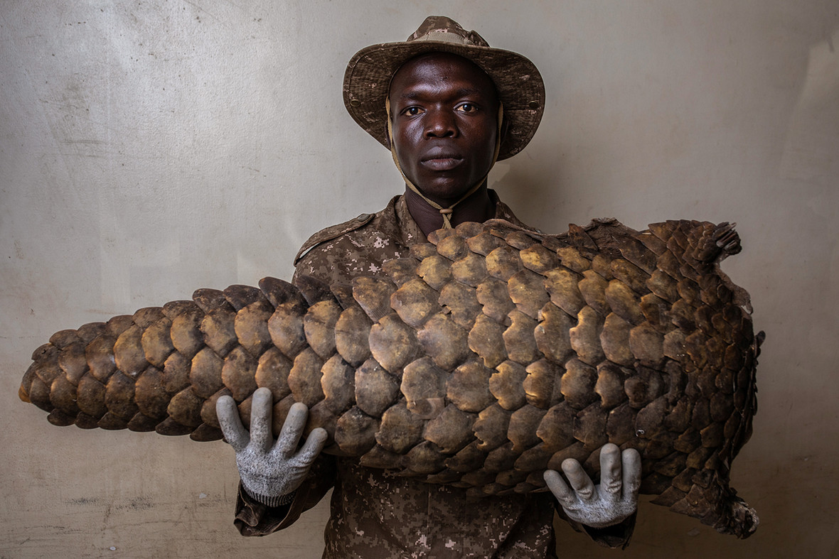 Home | Mauro De Bettio