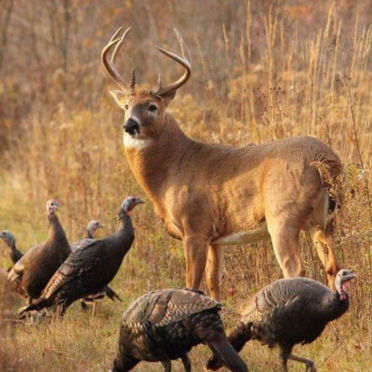 Anderson Funeral Home