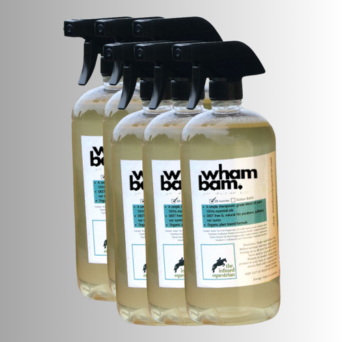 Wham Bam 6 Pack - All-In-One Natural Grooming Spray for Horses | The ...