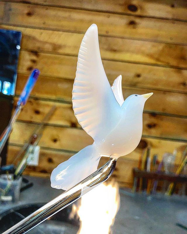 Shop | Bryan Randa 2/3