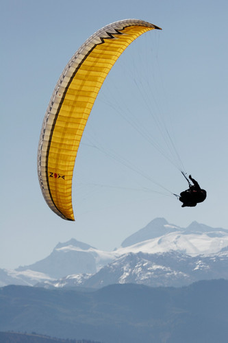 Nova Shockwave | Skywings Paragliding