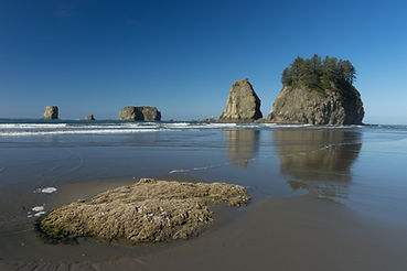 Beaches near Forks | Forks, WA | A Cozy River House cabin rentals