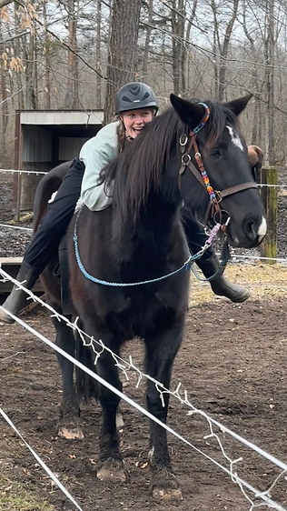 Our Horses | Rise and Ride Ranch