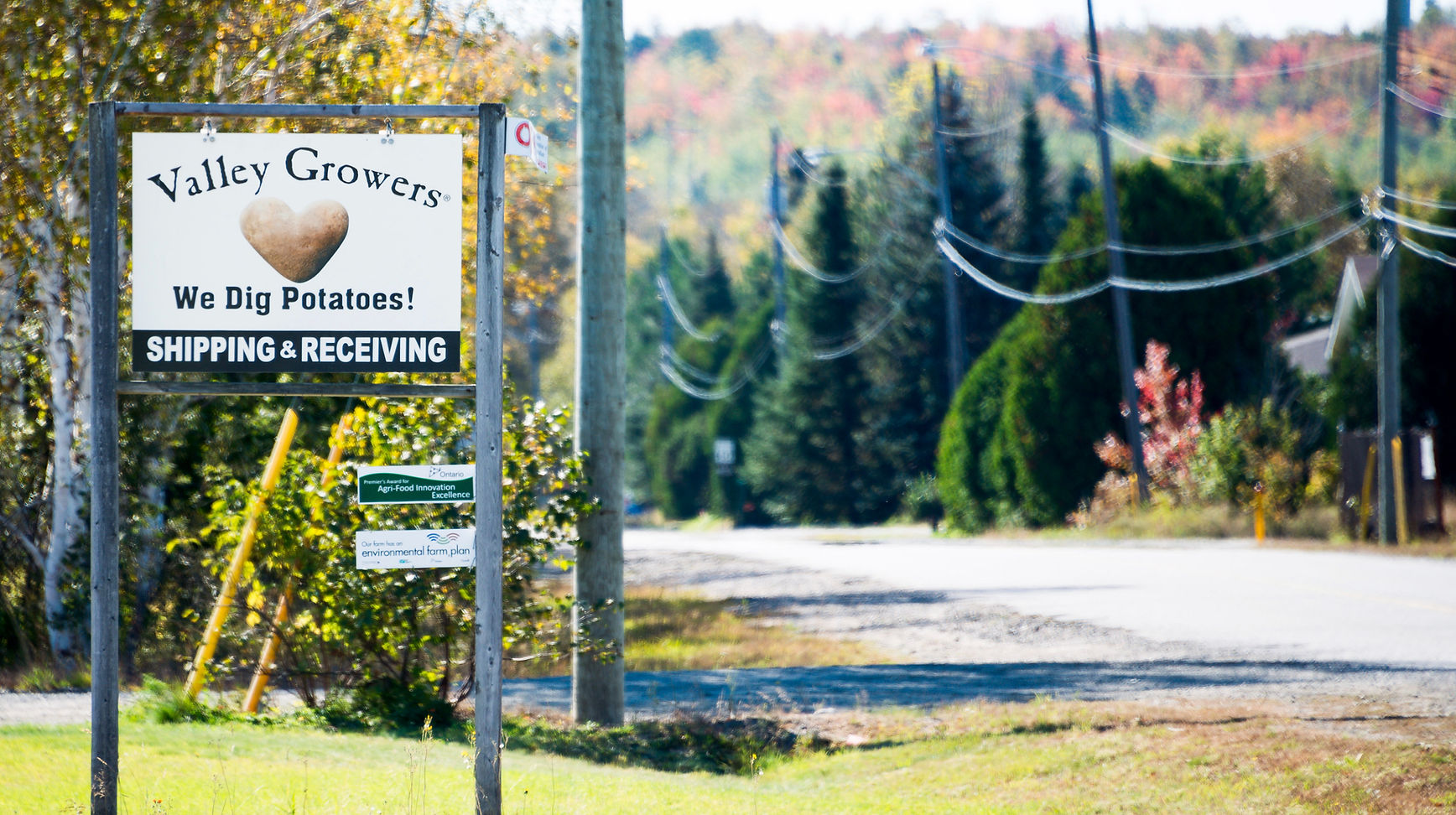 Family Potato Farm in Blezard Valley, ON | Valley Growers | We dig ...