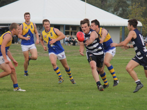 Home | Muswellbrook Cats AFC