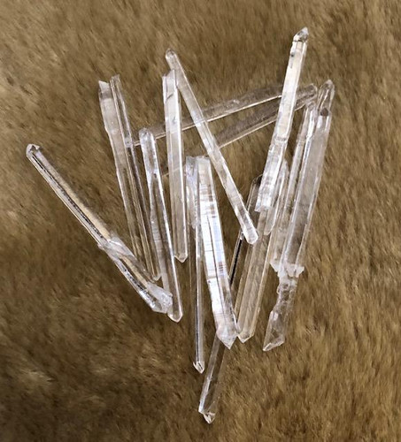 Sentient Quartz Needles #2A | 1.75in - 3 pieces | geiger-minerals