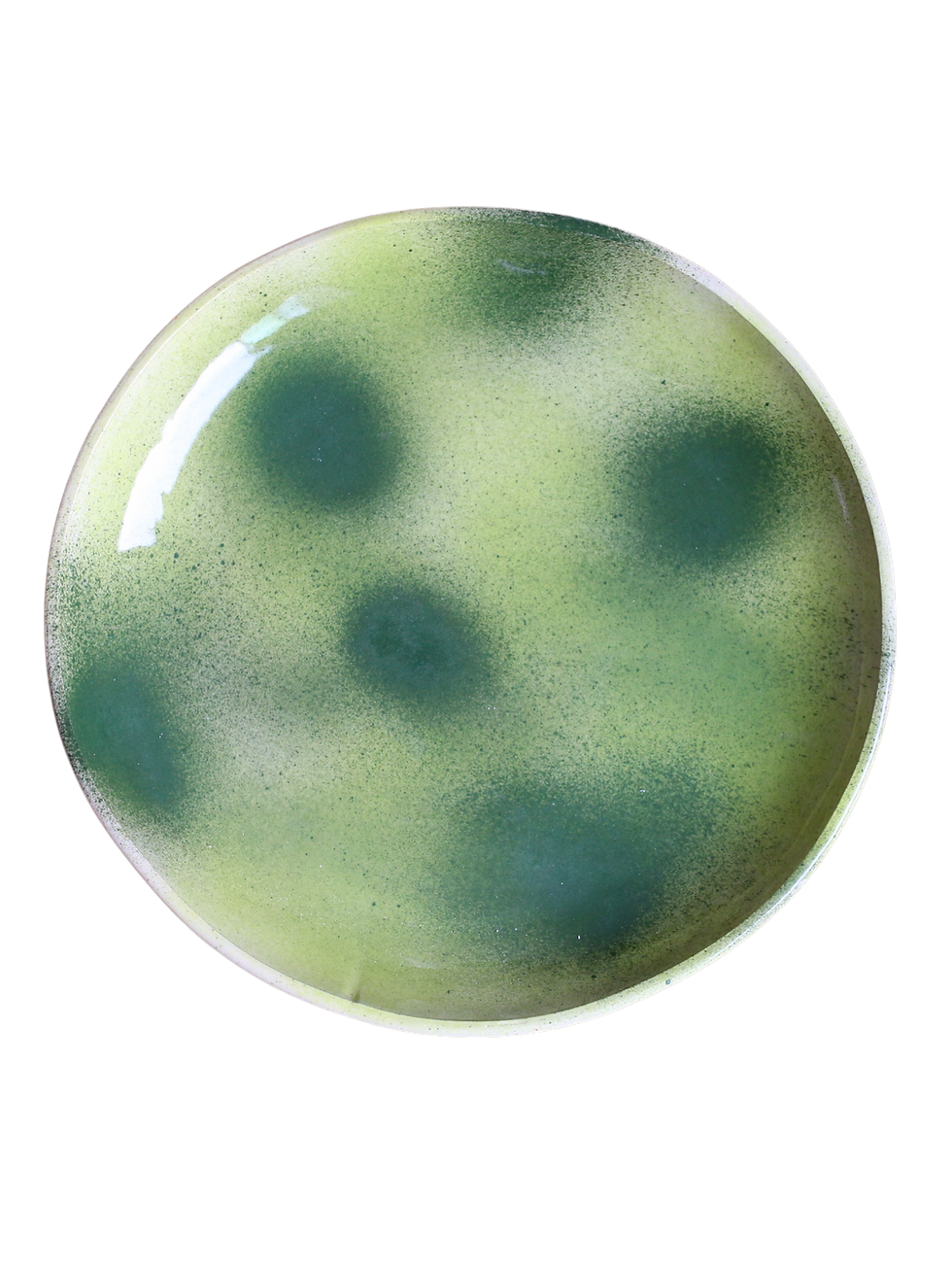 shop | the coy collection