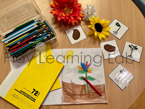 Observational Drawing | playlearninglab